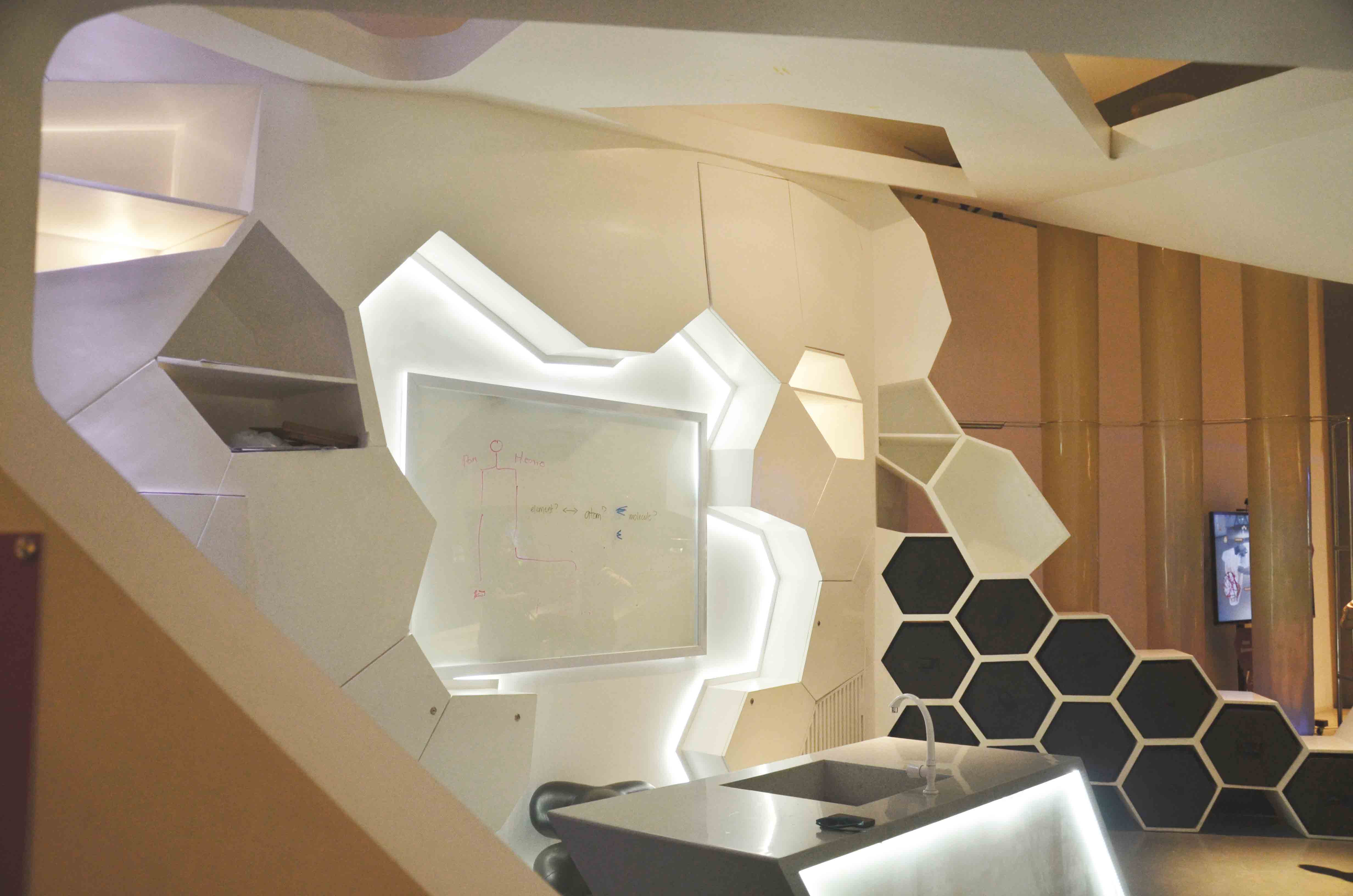 SCIENCE DEMO | Hands